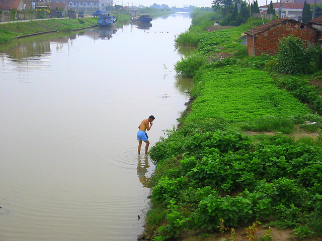 Shanghai urban farming | WWF