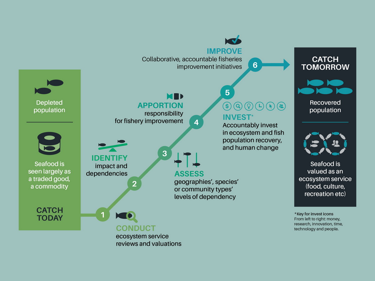 The cost of sustainable fisheries | WWF