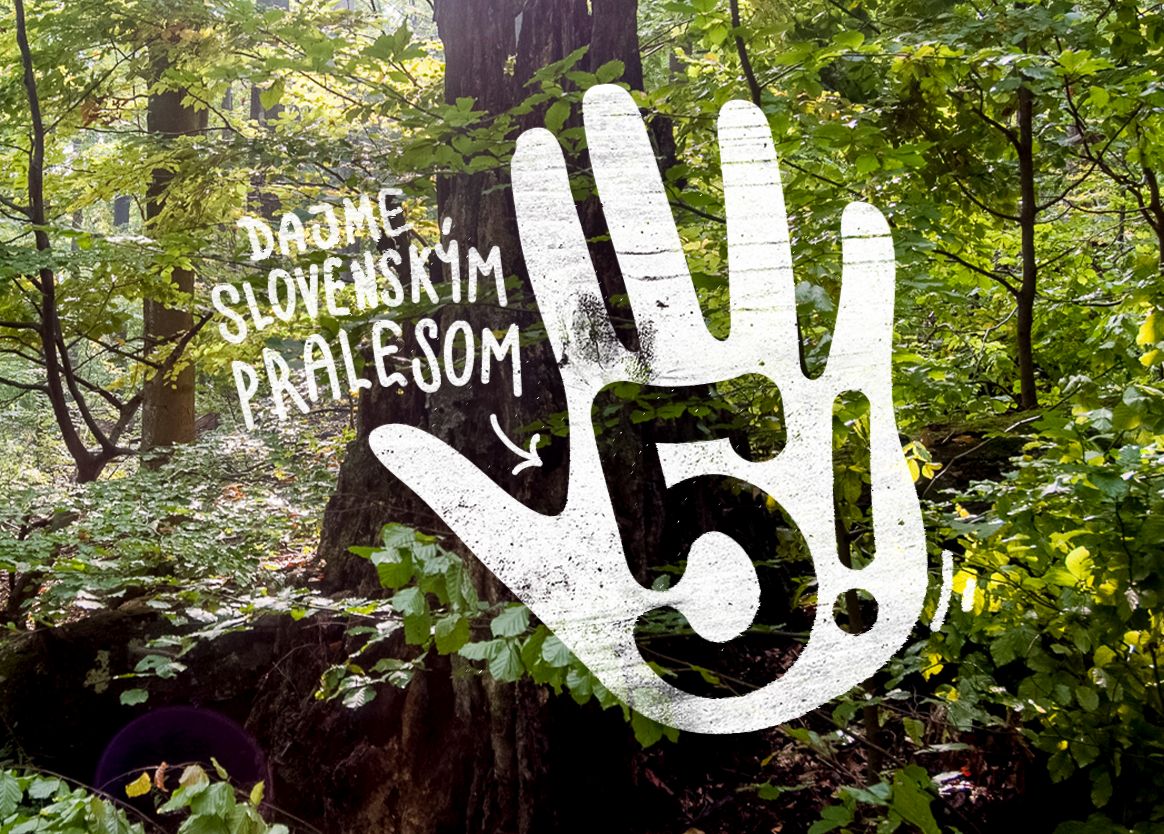 Dajme pralesom 5-ku! WWF Slovensko a Prales o. z. spúšťajú petíciu za ...
